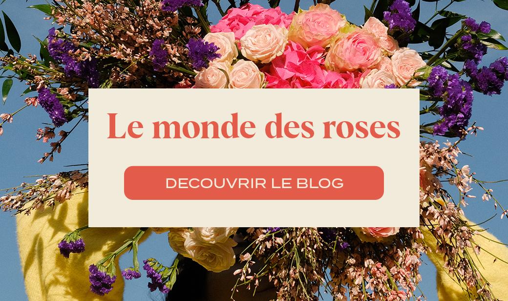 Livraison de roses en 4H & de Fleurs Fraîches 7/7 | Au Nom De La Rose