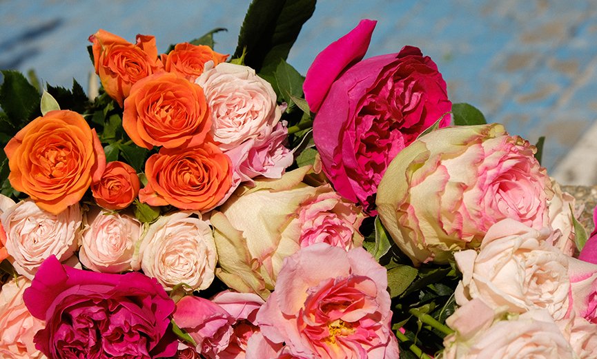 Bouquets de Fleurs - Livraison de Bouquets de roses | Au Nom De La Rose